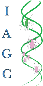 International Aphid Genomics Consortium (IAGC) | BIPAA
